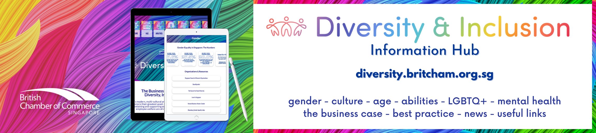 The Diversity & Inclusion Information Hub | British Chamber Of Commerce ...